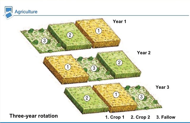 WH Final Project Timeline | Timetoast timelines