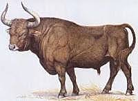 Animales en Vía de Extinción y Extintos desde 1500 hasta la Actualidad