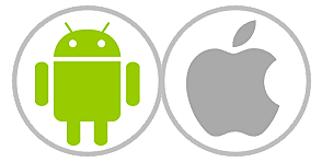 Pau Serrano Carbó eix cronologic SO timeline | Timetoast timelines