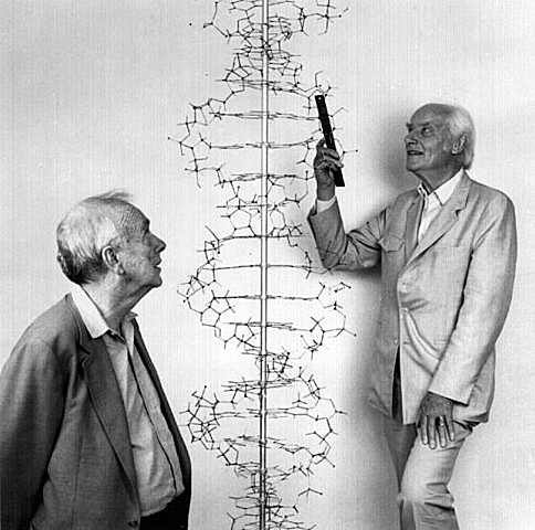 Desarrollo histórico de la genética timeline | Timetoast timelines