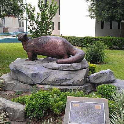 La historia de la nutrición en México y de FaSPyN timeline | Timetoast
