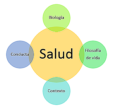 Conceptos o modelos teóricos del proceso Salud-Enfermedad timeline | T