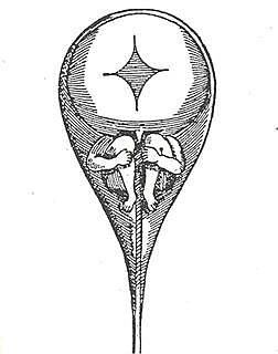 Historia de la Embriología timeline | Timetoast timelines