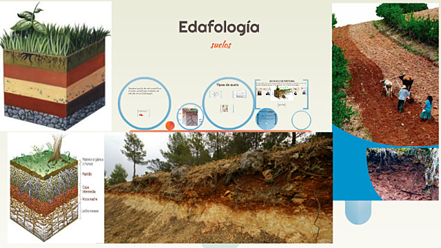 Historia de la edafología timeline | Timetoast timelines