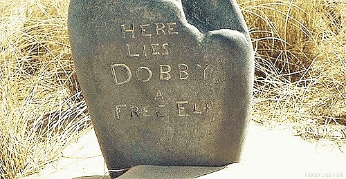 Harry Potter and the Deathly Hallows Part 2 timeline | Timetoast