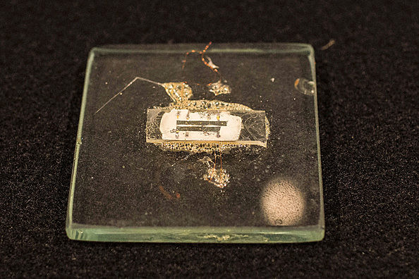 Evolución de la computadoras (Introducción ala computación ) Yair