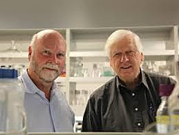 Historia de la Microbiología. timeline | Timetoast timelines