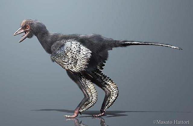 Geological Time timeline | Timetoast timelines