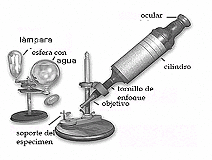 célula y microscopio timeline | Timetoast timelines