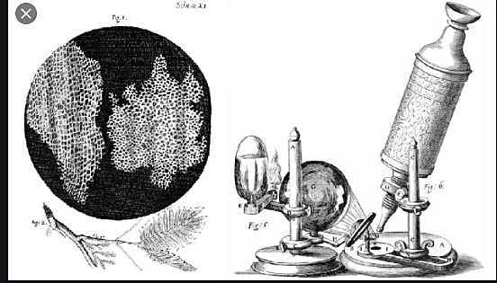 Cell Theory timeline | Timetoast timelines