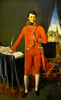 Napoleonic Timeline Project | Timetoast timelines