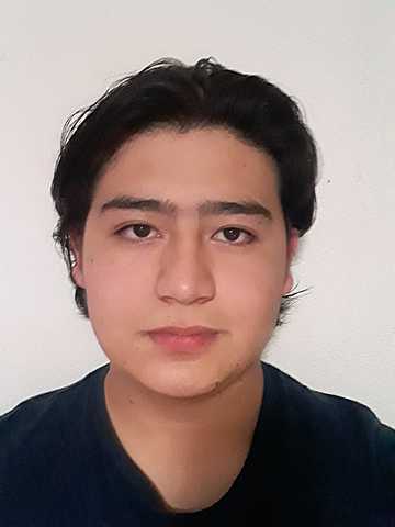 LINEA DE TIEMPO DE LUIS ROA timeline | Timetoast timelines