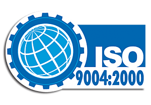 Familia De Las Normas ISO 9000 timeline | Timetoast timelines