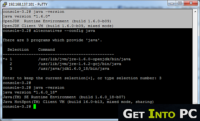 Evolución de Java timeline | Timetoast timelines