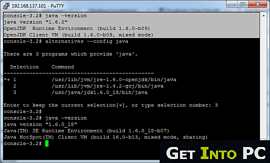 Evolución de Java timeline | Timetoast timelines