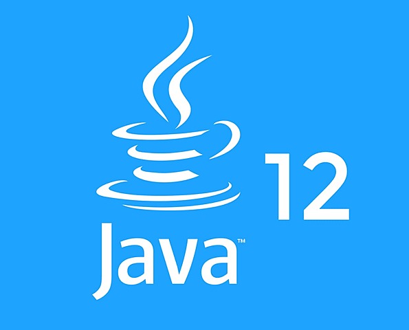 Evolución del Java timeline | Timetoast timelines