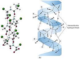 THE DISCOVERY OF DNA timeline | Timetoast timelines