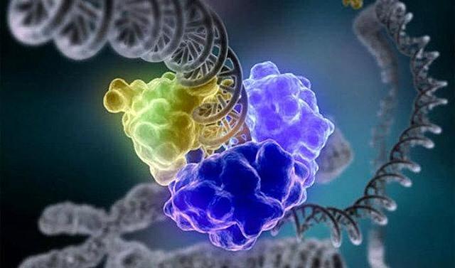 Historia de las Enzimas timeline | Timetoast timelines