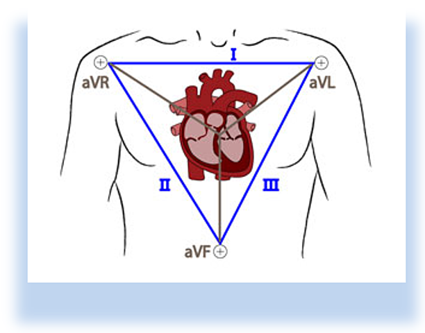Electrocardiograma timeline | Timetoast timelines