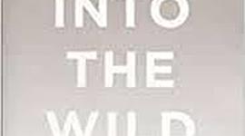 Into the Wild timeline | Timetoast timelines