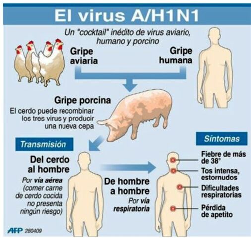 HISTORIA DE LA MICROBIOLOGÍA - UMG MICROBIOLOGÍA I - SECCIÓN B - AÑO