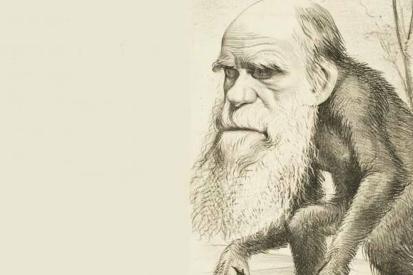 Biografía de Charles Darwin timeline | Timetoast timelines