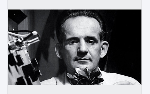 Invention and Evolution in polygraph timeline | Timetoast timelines