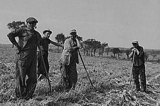 History of Agriculture Timeline for 1800-1900 | Timetoast timelines