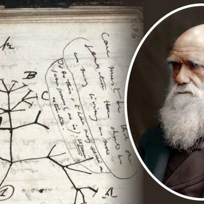 La vida de Charles Darwin timeline | Timetoast timelines