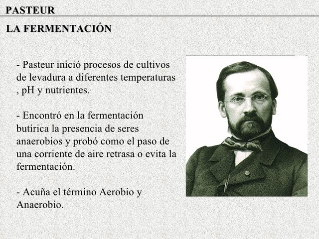 Linea de Tiempo: Las Enzimas - Jhoan Santiago 3er Año timeline | Timet