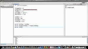 linea del tiempo de Python timeline | Timetoast timelines