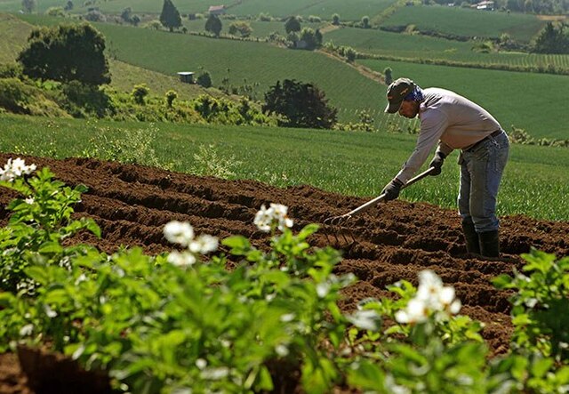 Actividades Agropecuarias de Venezuela Daniel Prato 5C timeline | Time