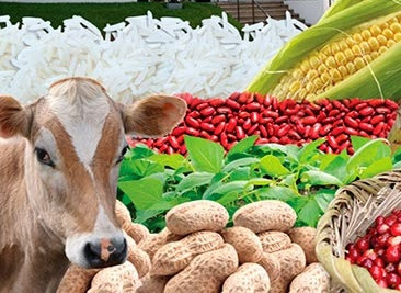 Actividades agropecuarias en Venezuela timeline | Timetoast timelines