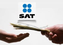 Etapas del Procedimiento Administrativo de Ejecución (PAE) timeline