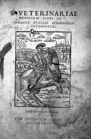 Hechos Históricos de la Medicina Veterinaria timeline | Timetoast