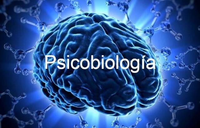 Historia de la psicobiología timeline | Timetoast timelines