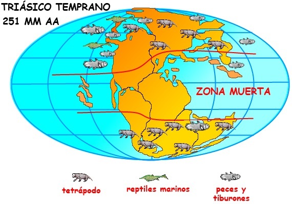 Era Mesozoica timeline | Timetoast timelines