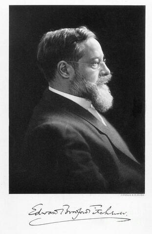 Historia de la Psicología timeline | Timetoast timelines