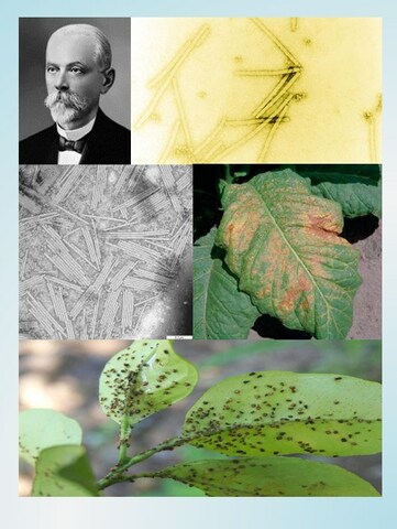 Apectos resaltantes y significativos en la historia de la Virología