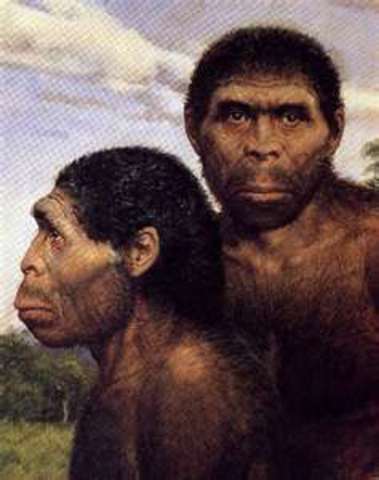 Early Human Timeline | Timetoast timelines