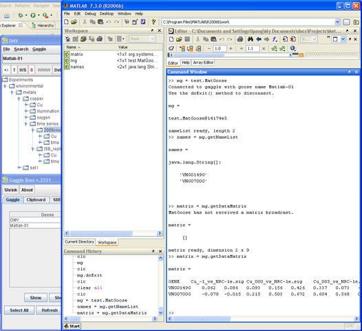 Historia de métodos numéricos timeline | Timetoast timelines