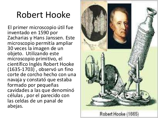 Teoría celular timeline | Timetoast timelines