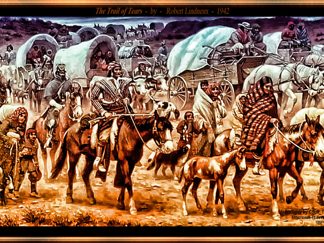 Removal of Native Americans timeline | Timetoast timelines