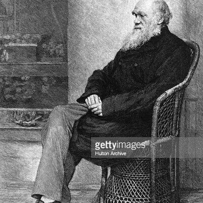 BIOGRAFIA DE CHARLES ROBERT DARWIN timeline | Timetoast timelines