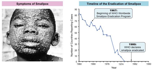 Smallpox timeline | Timetoast timelines