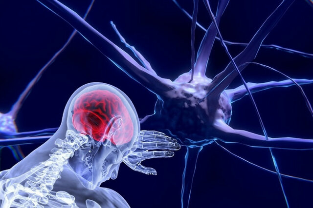 Historia de la Neurociencia. timeline | Timetoast timelines