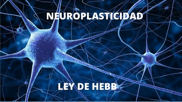 La Neuropsicología en el tiempo timeline | Timetoast timelines