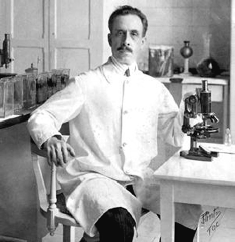 HISTORIA DE LA ANESTESIA LOCAL Y GENERAL timeline | Timetoast