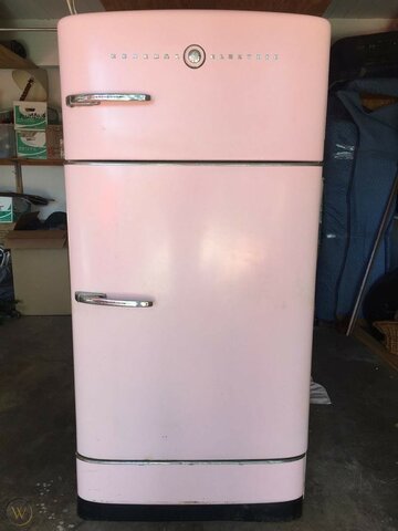 Fridge timeline | Timetoast timelines