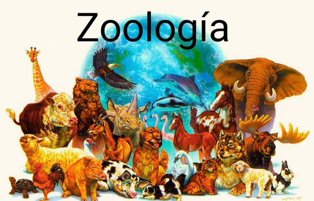 LINEA DE TIEMPO DE LA ZOOLOGIA. timeline | Timetoast timelines